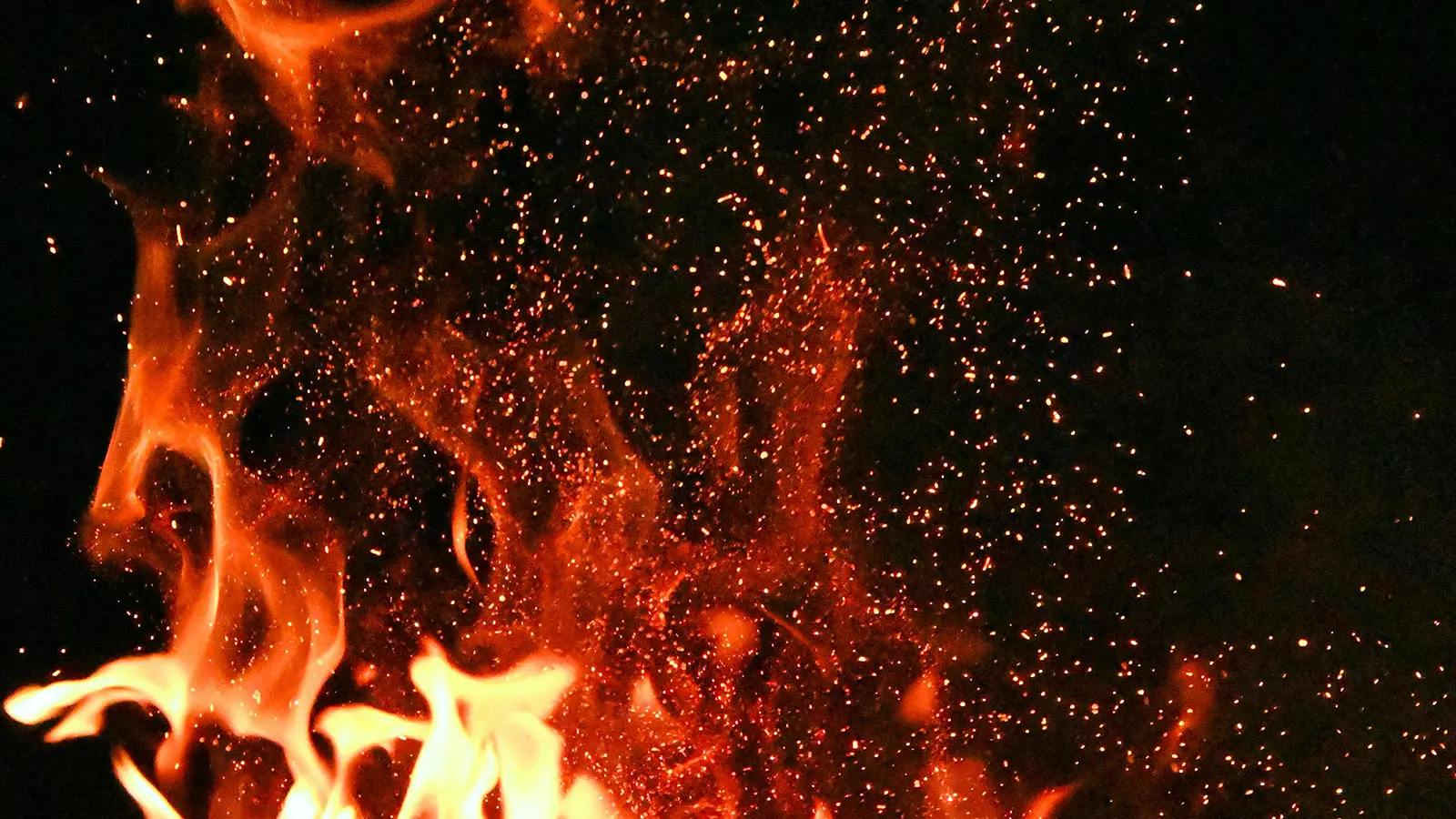 Firewise | City of Draper