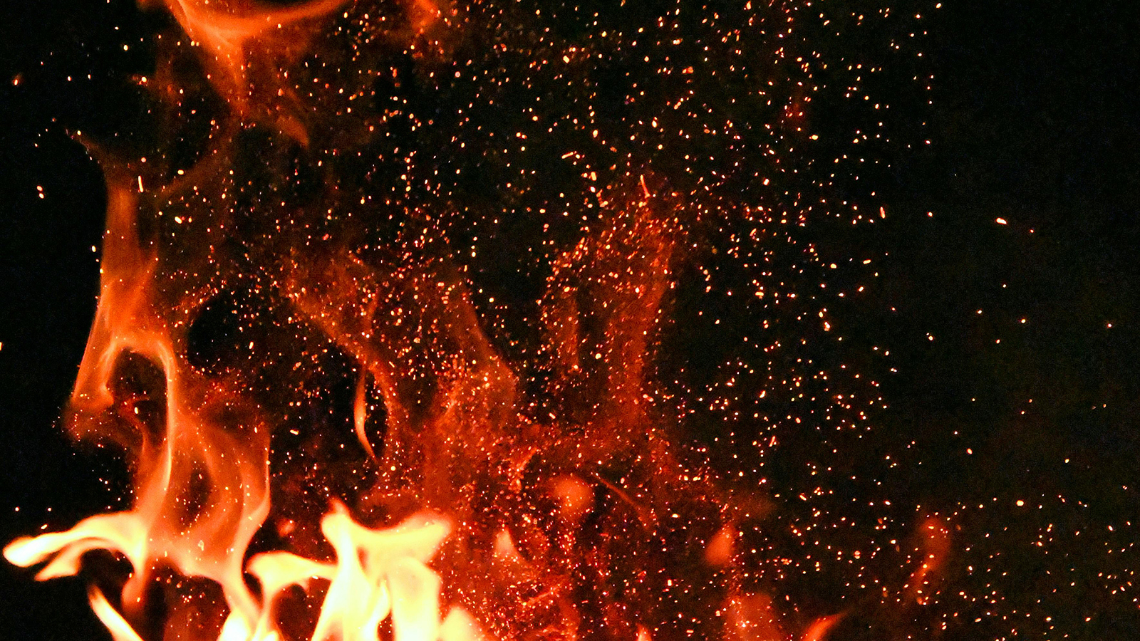 Firewise | City of Draper