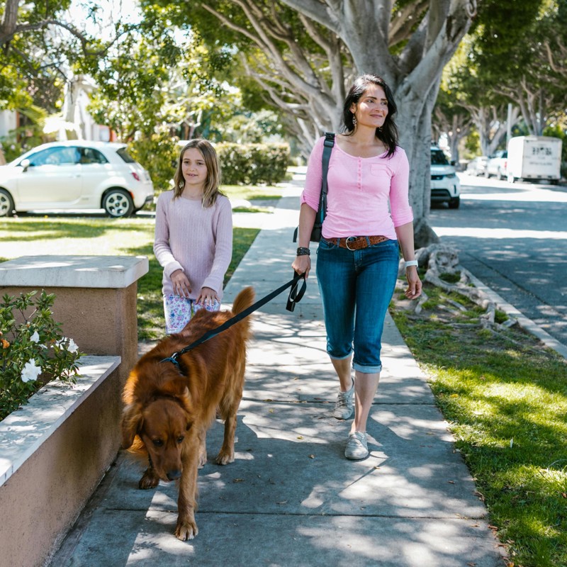 Dog Walker Watch | City of Draper