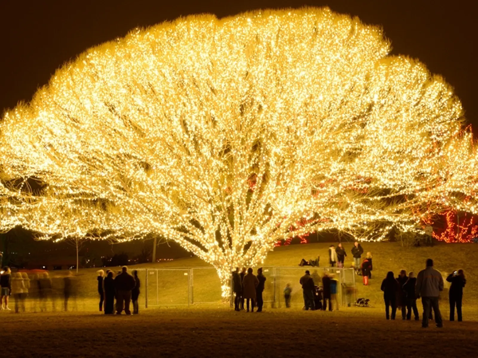 Home | City of Draper