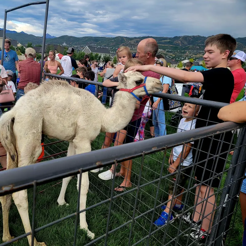 Park Activities | City of Draper