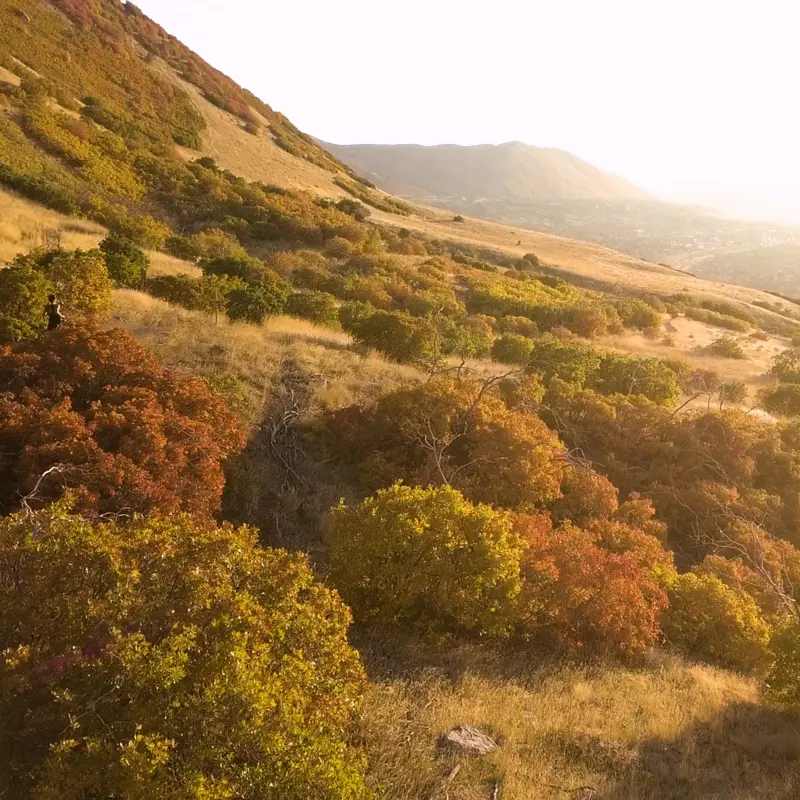 Parks and Trails | City of Draper