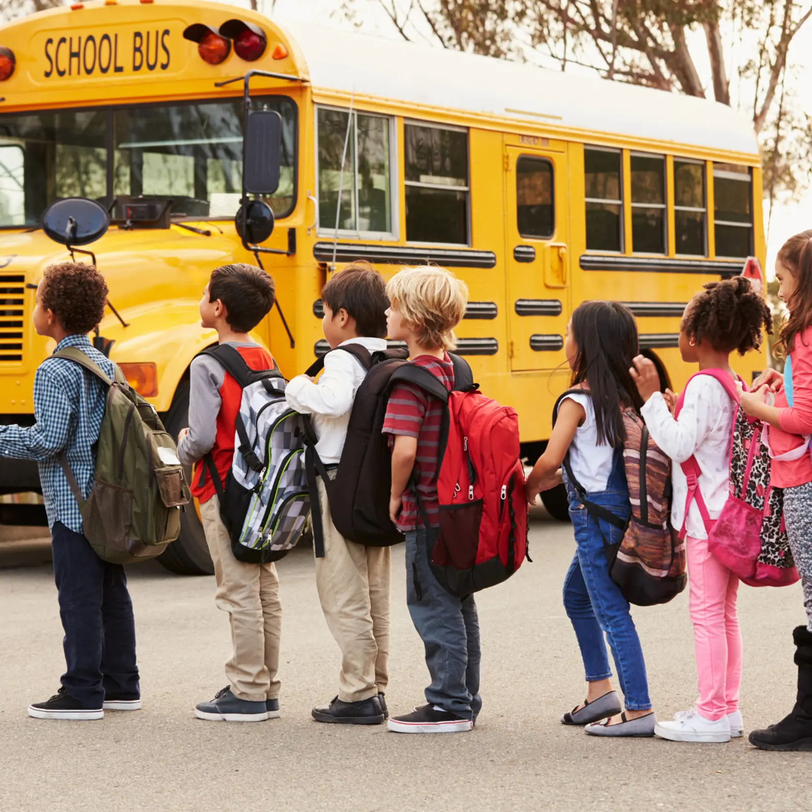 Elections | City of Draper