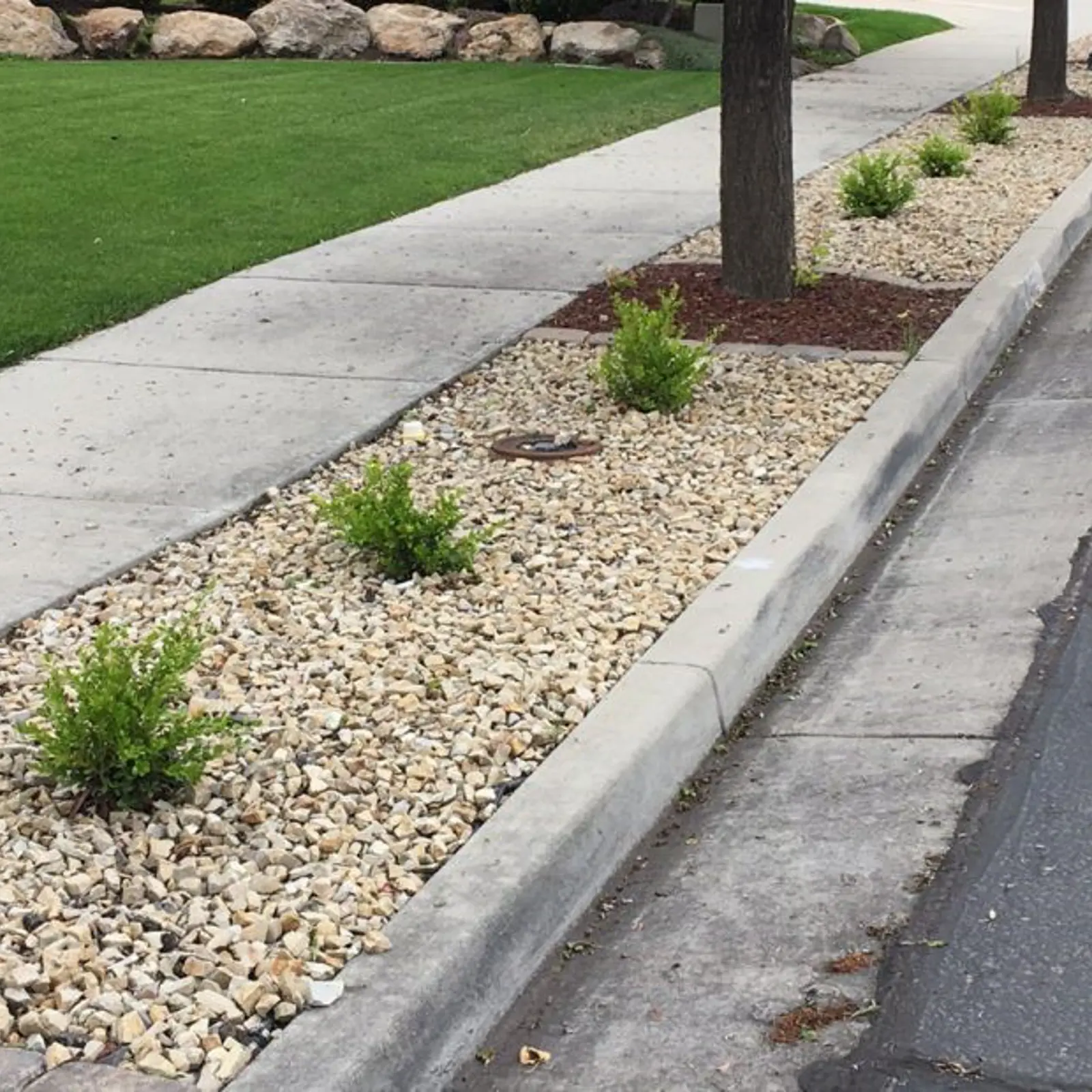 Landscaping | City of Draper