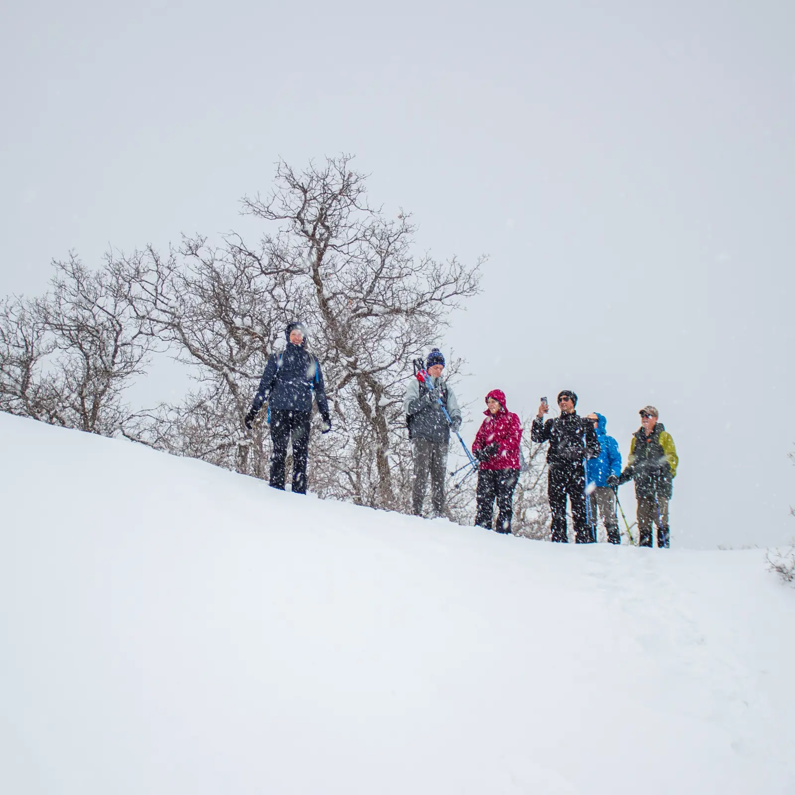 Adult Programs | City of Draper